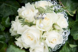 Florabel - Reviews. Offerte. Booking. | eventplanner.be