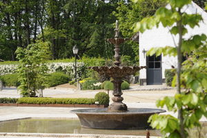 Waerboom - Reviews. Offerte. Booking. | eventplanner.be