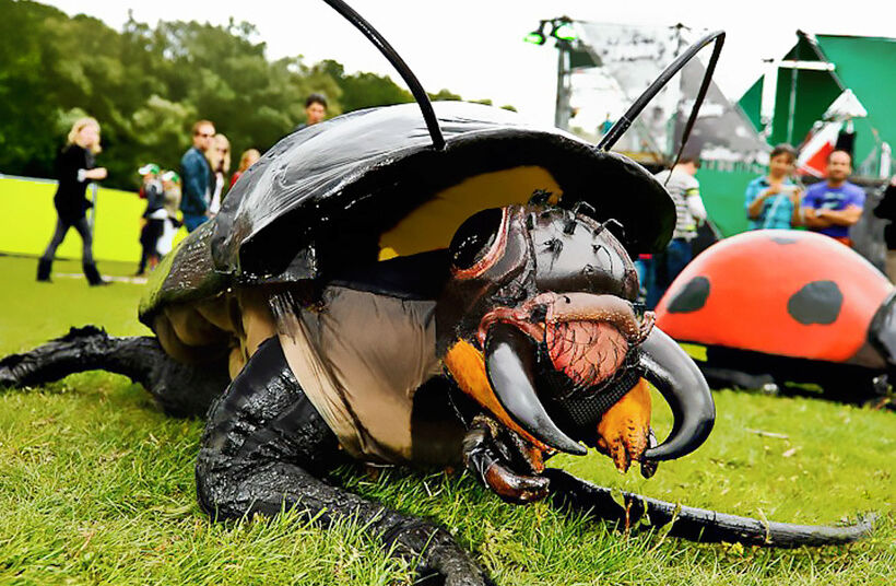 Big Bugs Show - Reviews. Offerte. Booking. | eventplanner.be